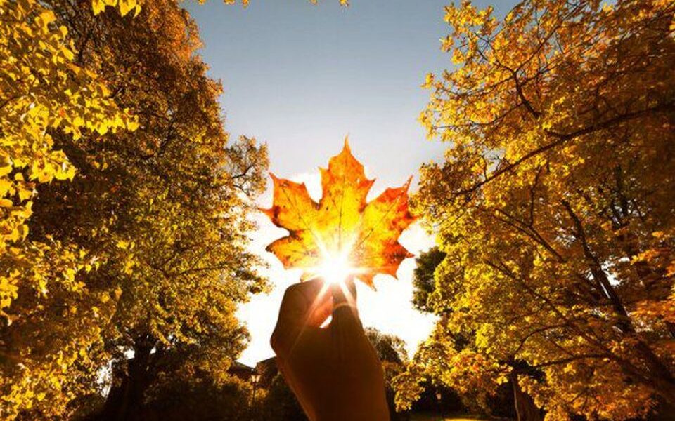 Datini, tradiții și obiceiuri în luna septembrie: Care este cea mai ...