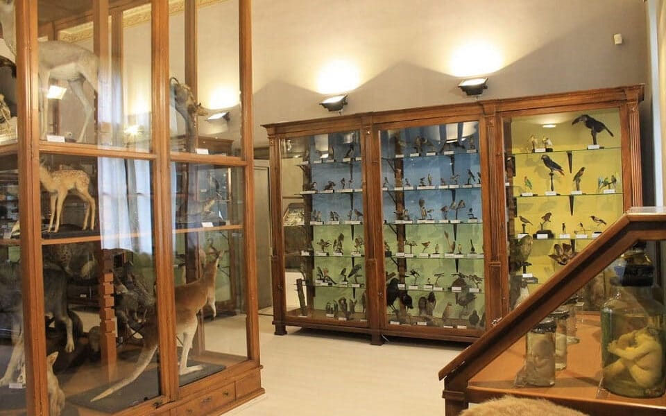 Muzeul de Științele Naturii Aiud rămâne chiriaş al Eparhiei Reformate ...