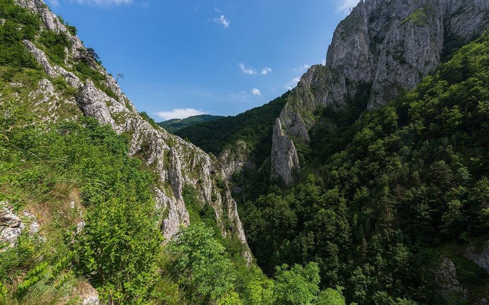 Cum se văd Cheile Râmețului de pe Brâna Caprei